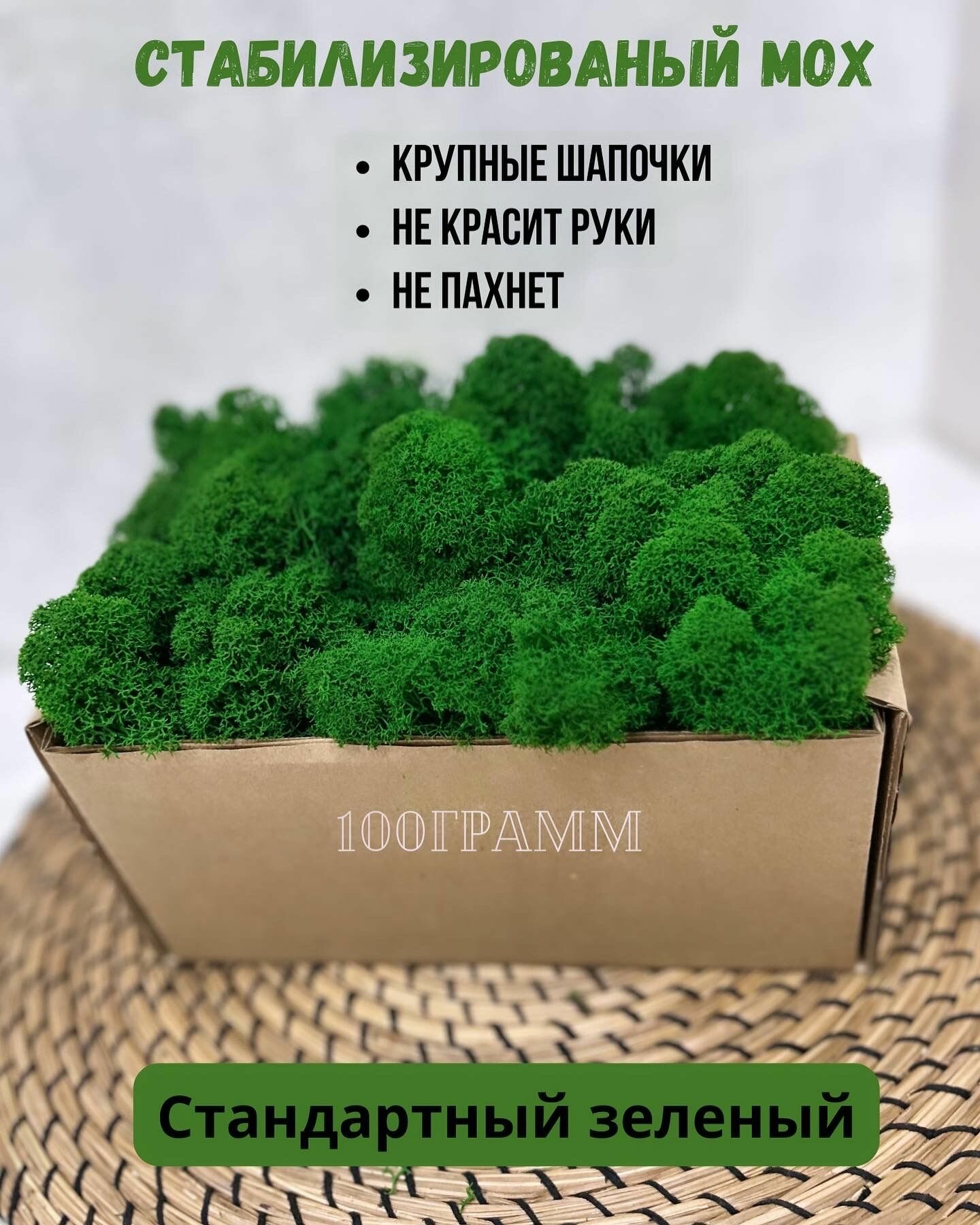 Стабилизированный мох Ягель