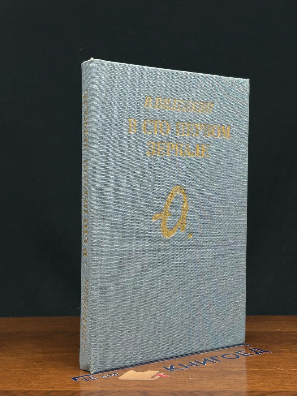 Книга. В сто первом зеркале 1990 (2042296665103)
