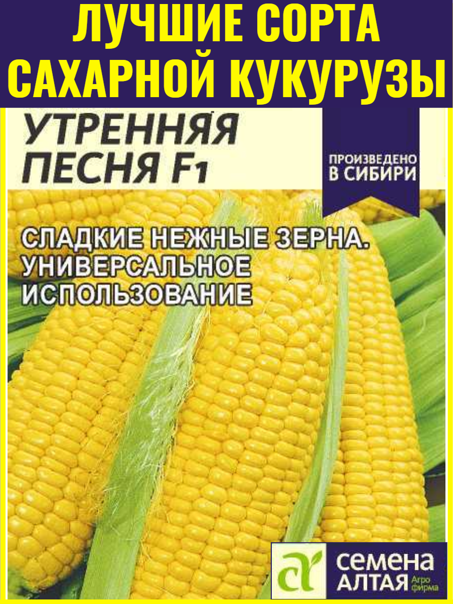 Семена сахарной кукурузы Утренняя Песня F1 - 5 г. Раннеспелый гибрид со стабильной урожайностью