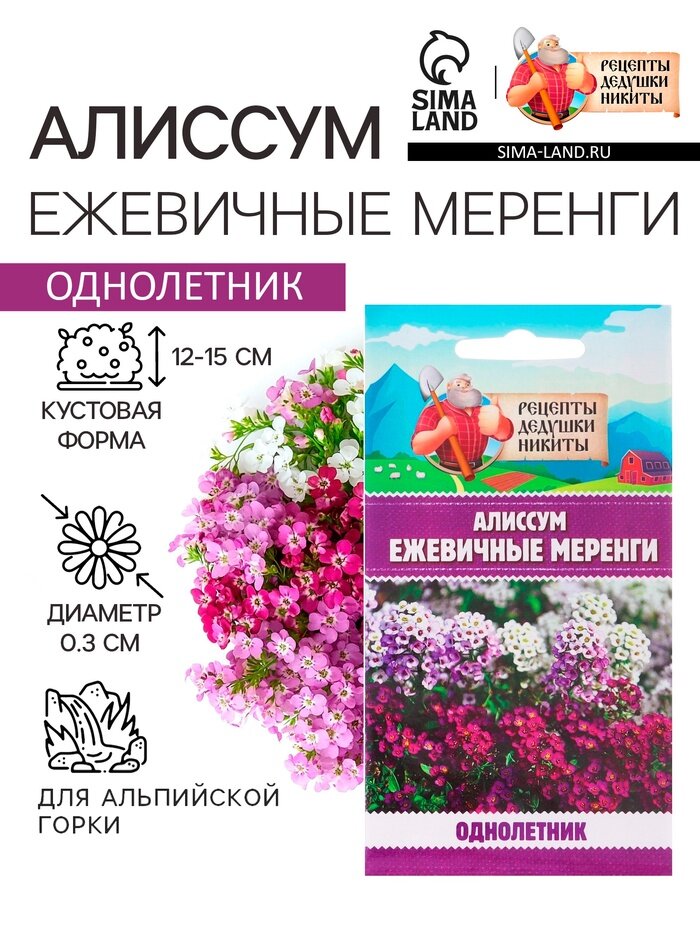 Семена цветов Алиссум "Ежевичные меренги", 5 шт.