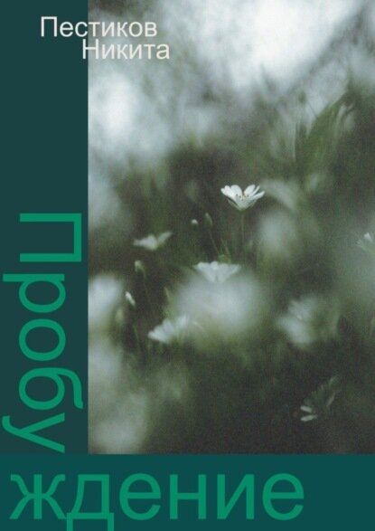 Пробуждение [Цифровая книга]