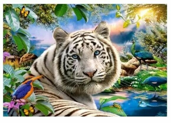 Пазлы Тигр 1500 элементов, C-151318