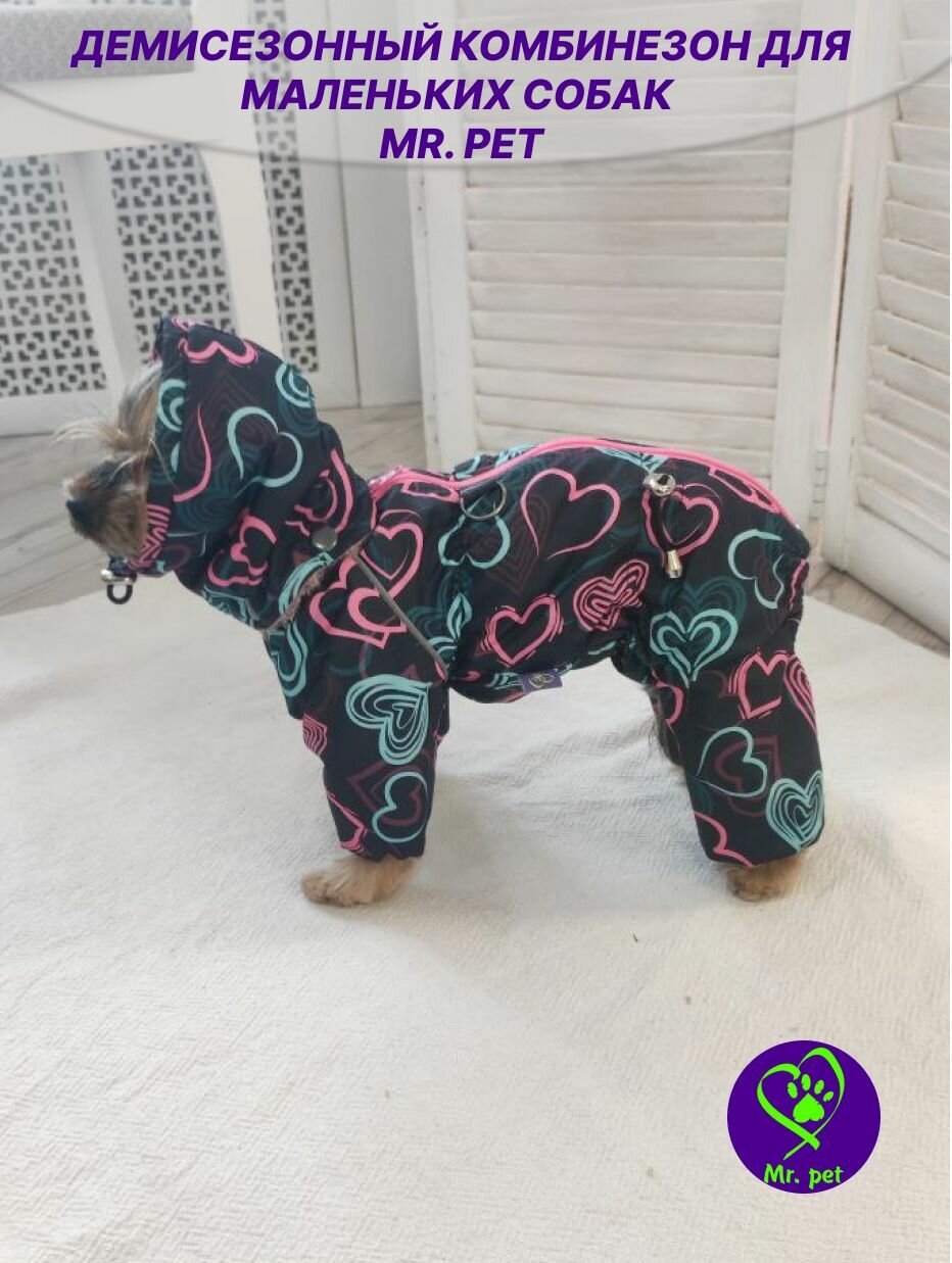 Одежда для животных