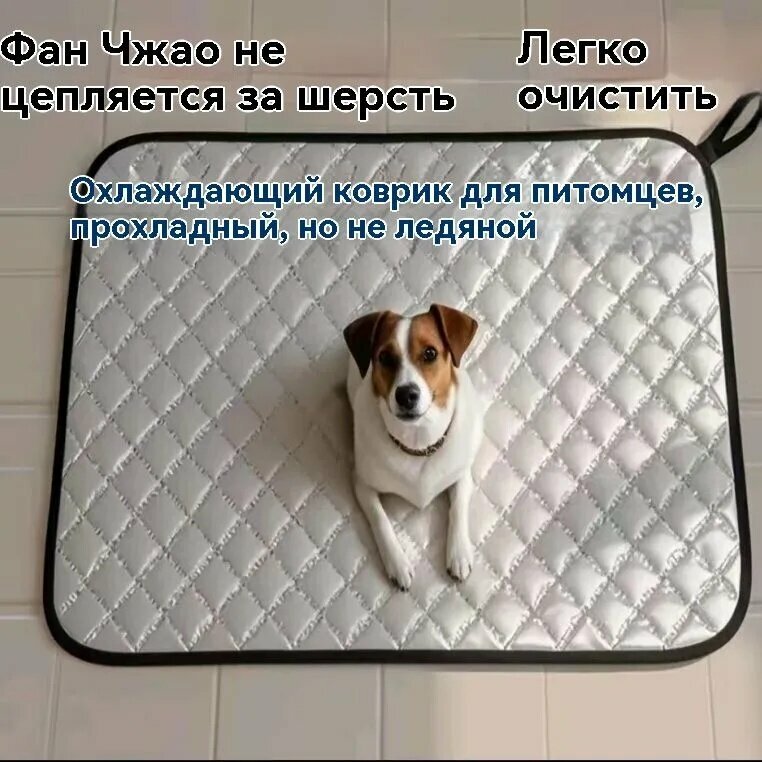 Животные мочистые подушки