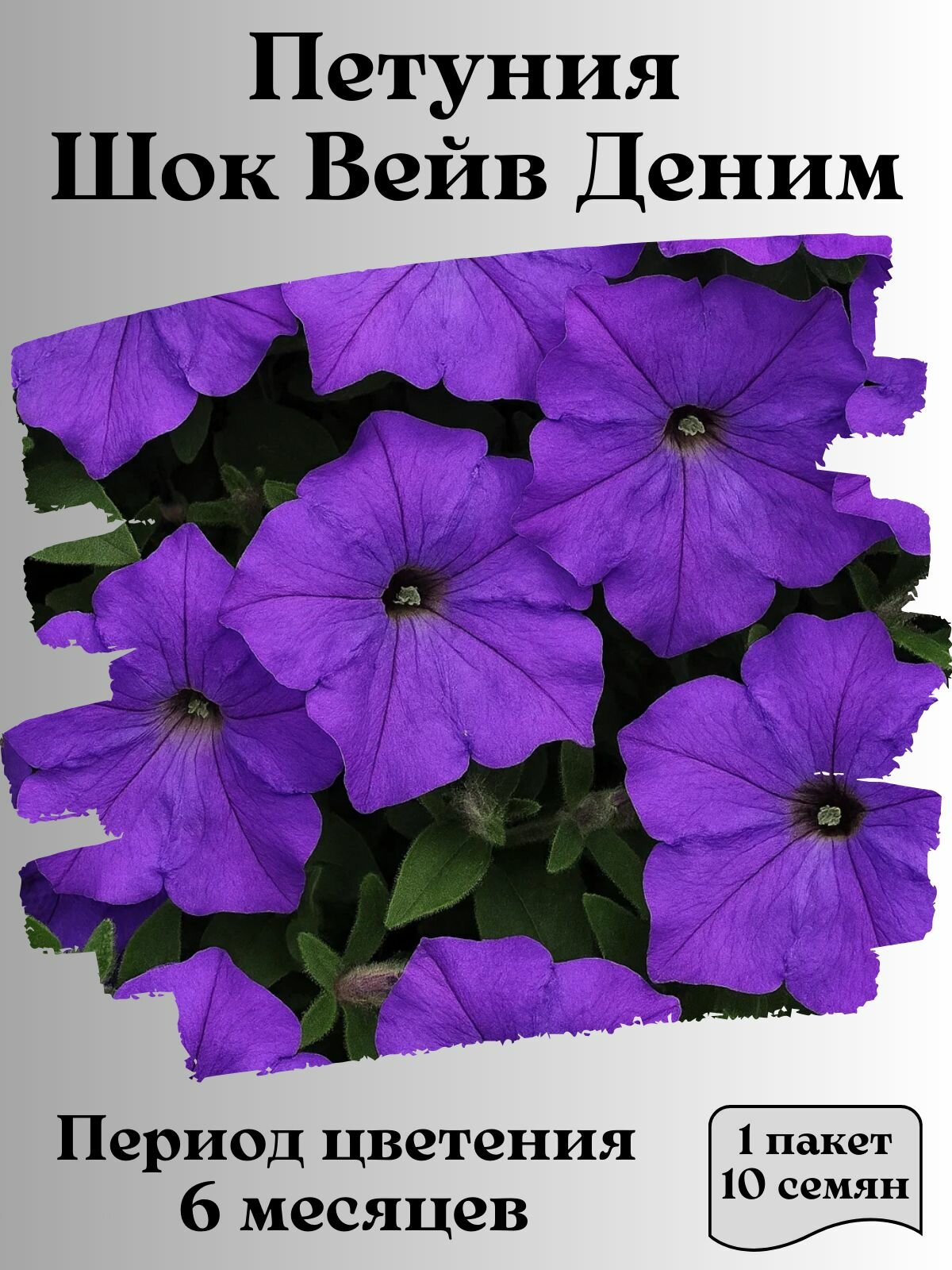 Петуния Шок Вейв Деним, семена, 10 шт, 15 гр.