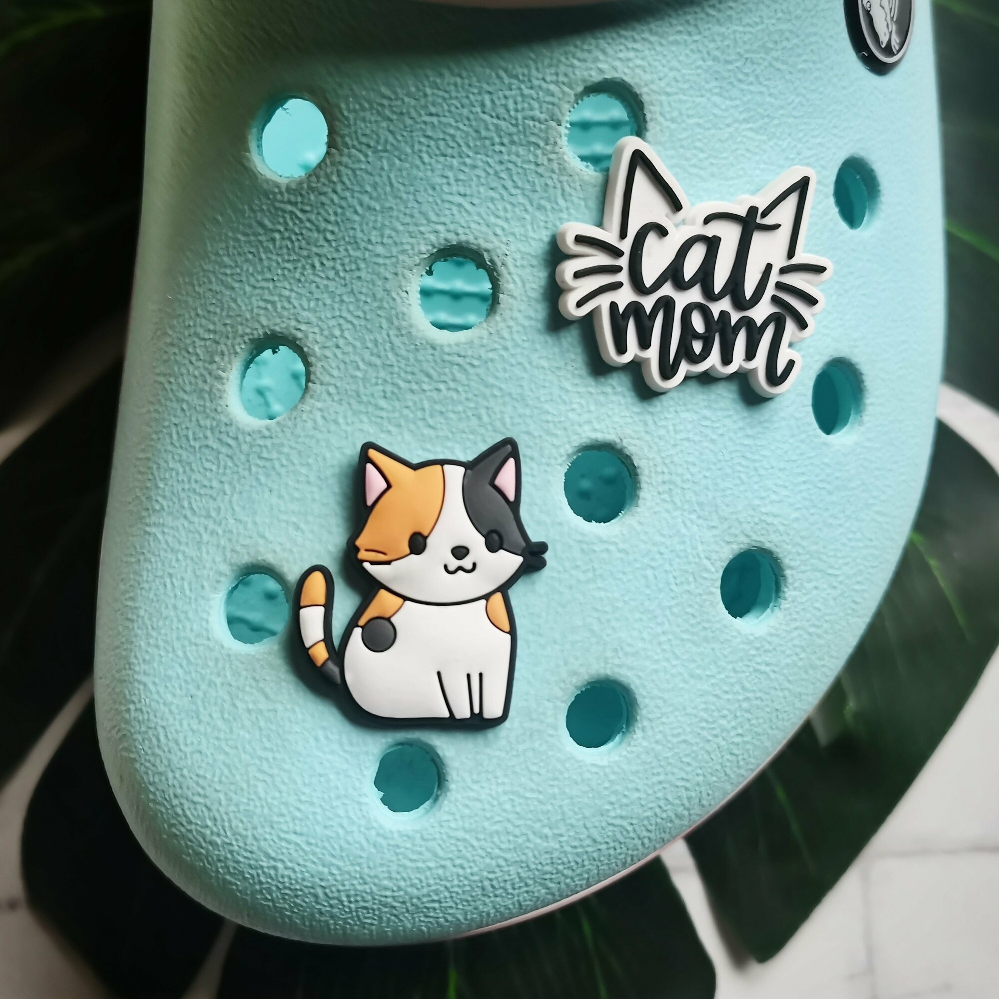 Джибитсы котики, джибитс кошка