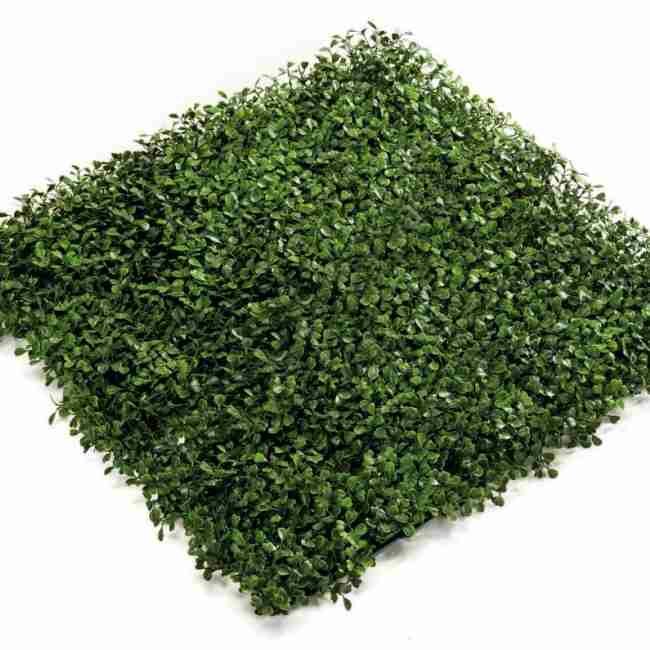 Искусственная изгородь Самшит 50х50см Есть защита от УФ