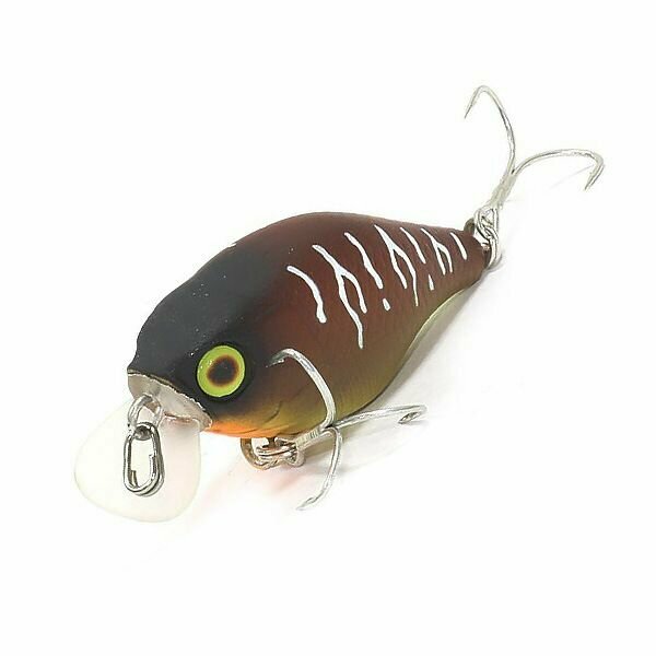 Воблер JACKALL CHUBBY 38F цвет BUG TIGER