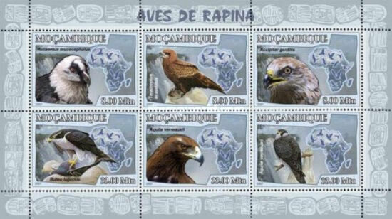 Почтовые марки Мозамбик 2007г. "Фауна - Хищные птицы" Птицы MNH