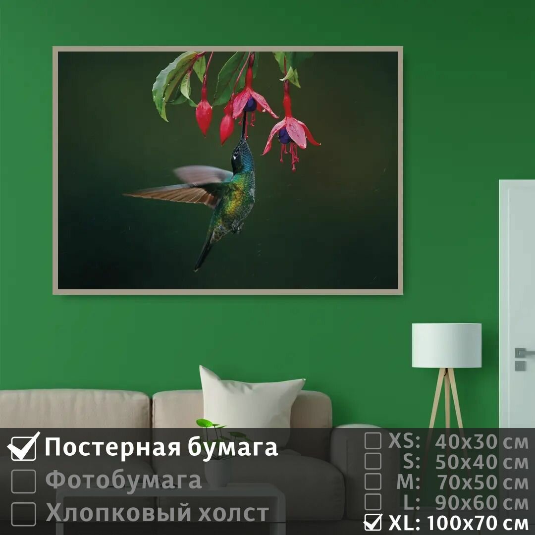 Постер на стену Колибри В Полете С Цветками Фуксии 100х70 см ПолиЦентр