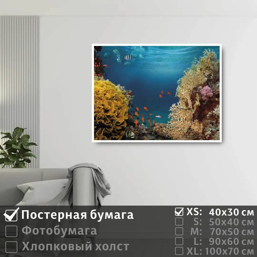 Постер на стену Морские Рыбки В Коралловых Рифах 40х30 см ПолиЦентр