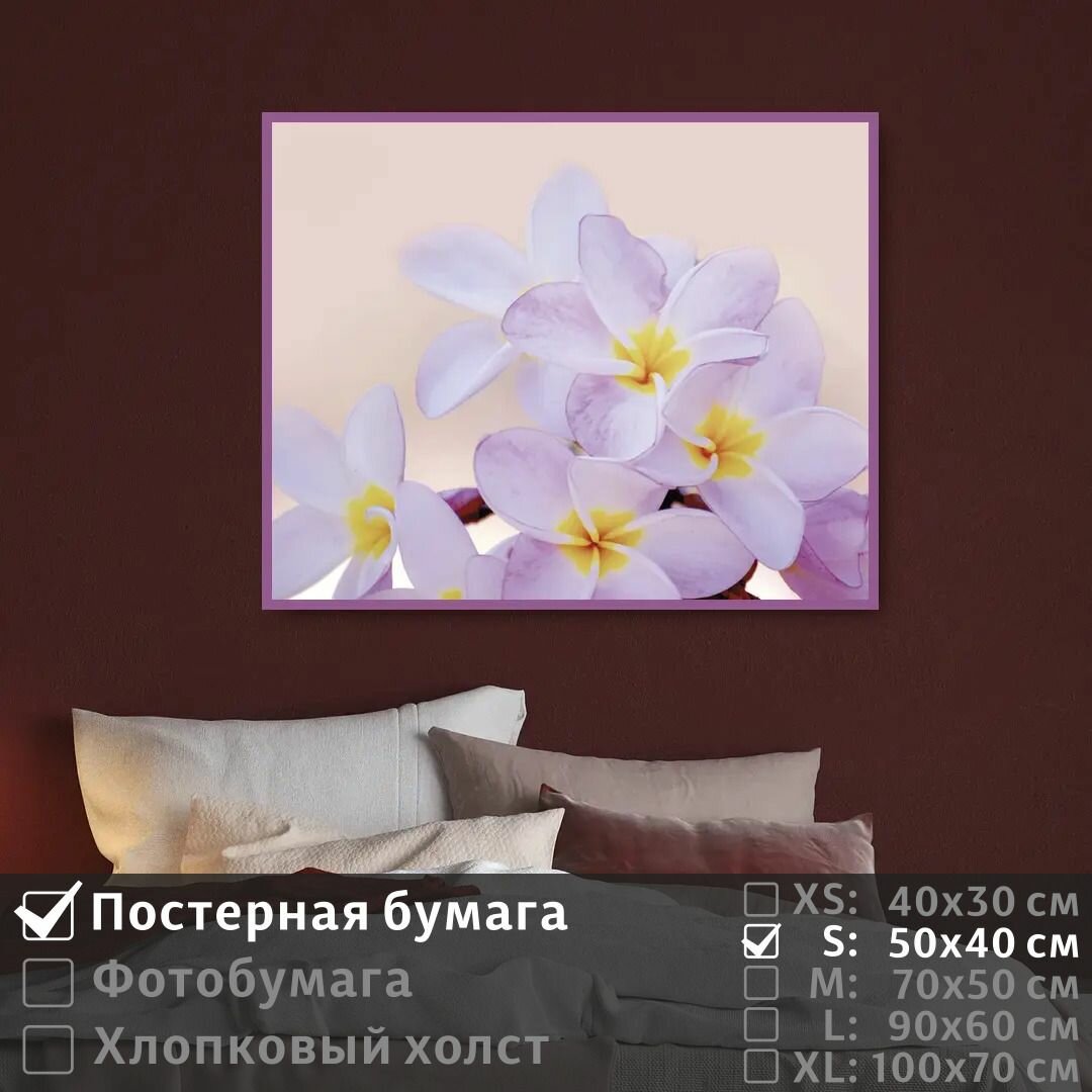 Постер на стену Нежные Тропические Цветы 50х40 см ПолиЦентр