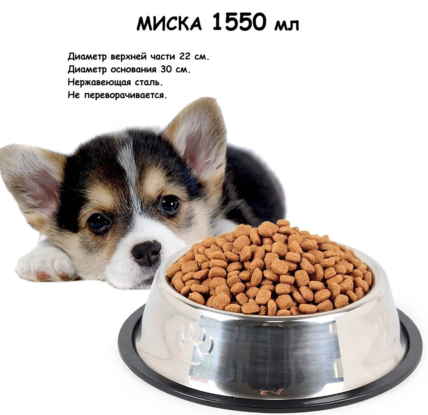 Миска для кормления животных. зоотовары. объем 1550 мл