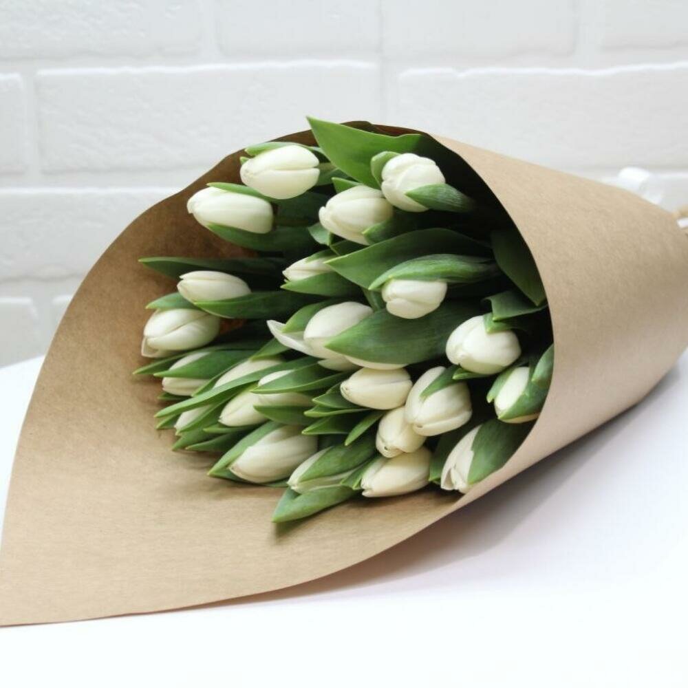 25 белых тюльпанов