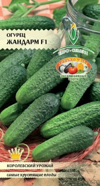 Огурцы Жандарм F1 0,25гр. (Е. С.)