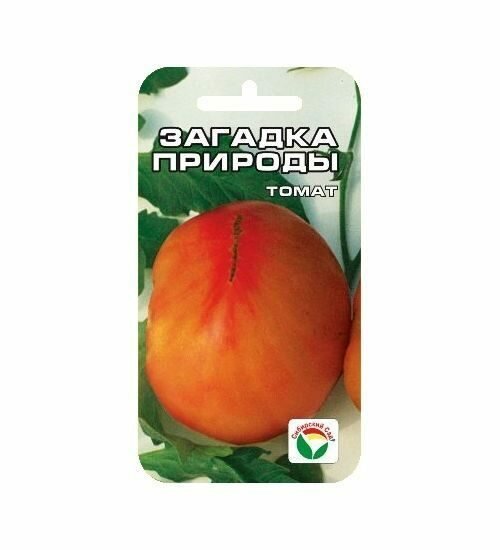 Семена Томат Загадка природы 20 шт Сибирский сад