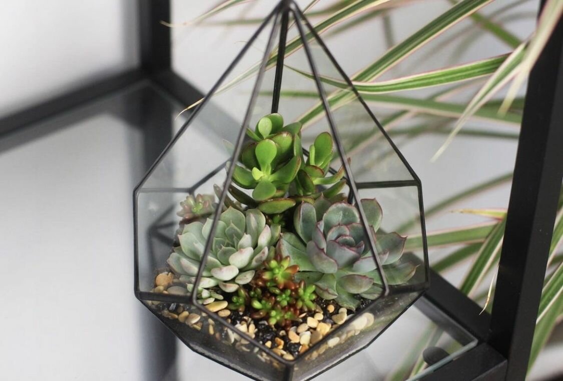 Флорариум с суккулентами / Мини садик в вазе / Подарок маме