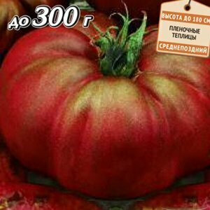 Семена Томат Бизон черный 10 шт.