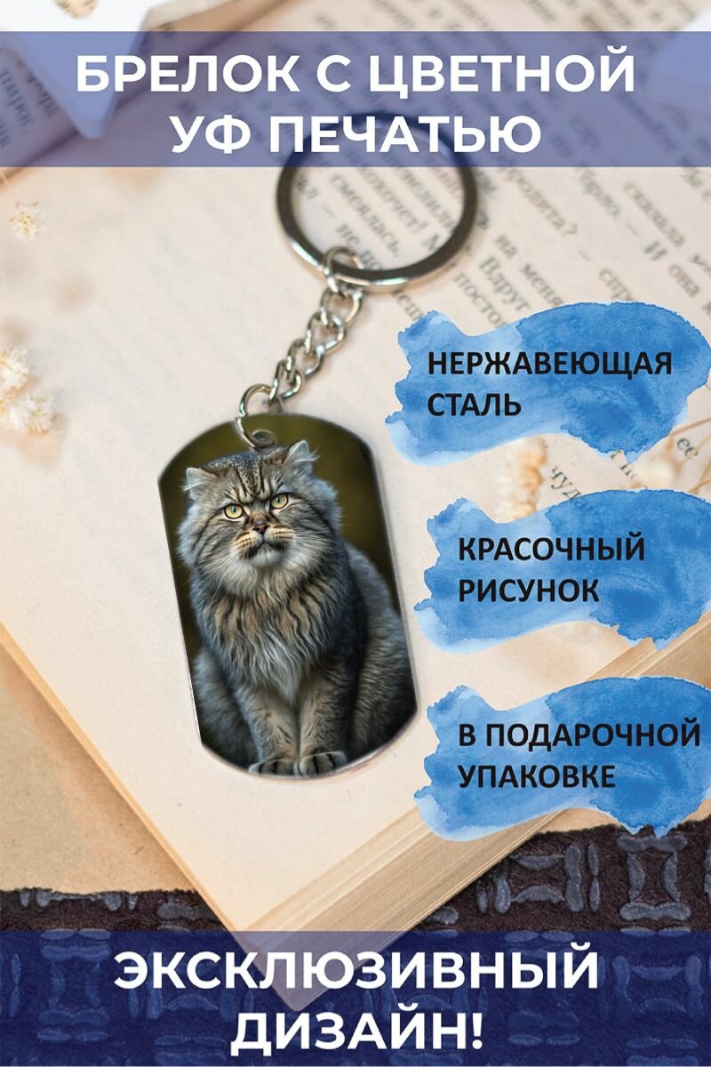 Брелок PNP