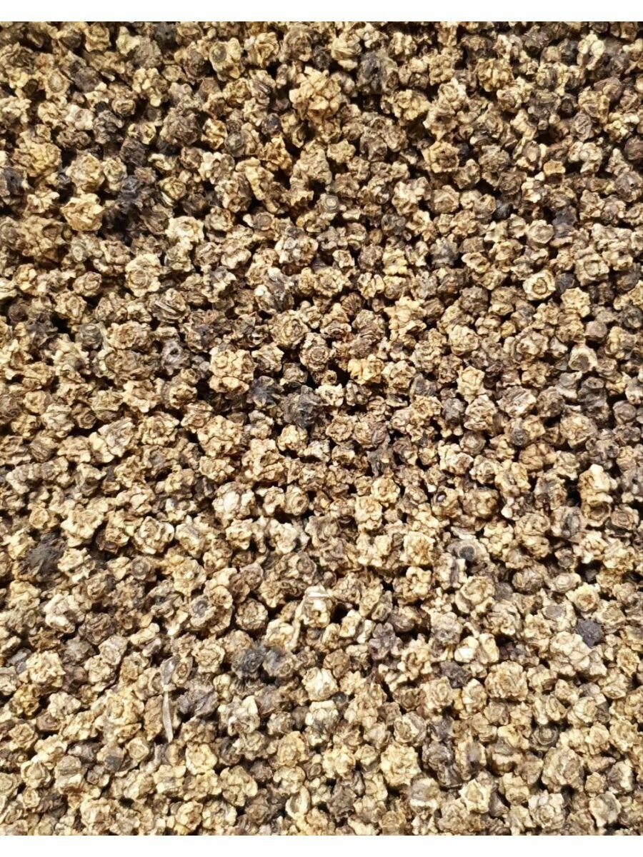 Свекла Бордо