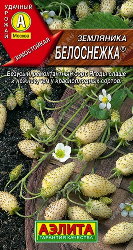 Семена Земляника Белоснежка ремонтантная 0.03г (Аэлита)
