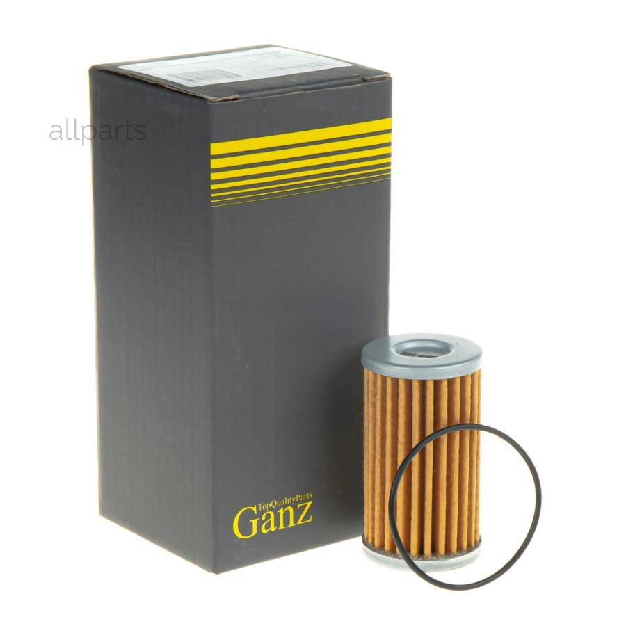 GANZ GIH02013 Фильтр АКПП