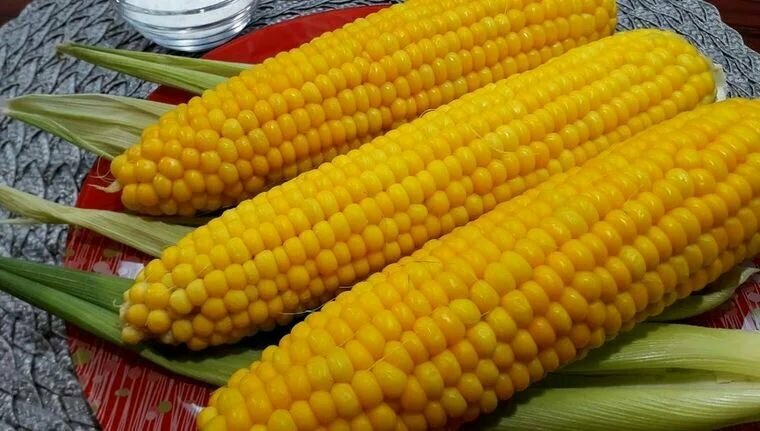 Семена Кукурузы "Горячие ребята", 10 шт. семян