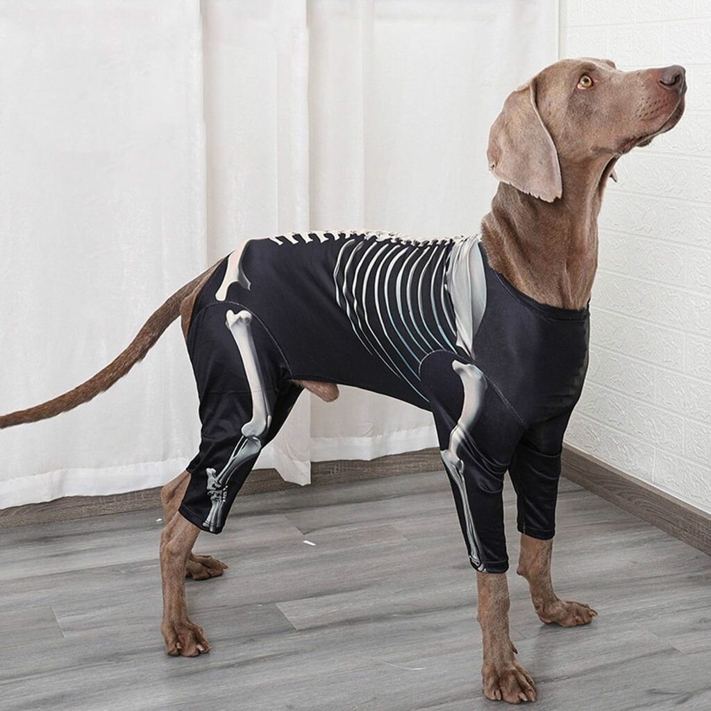 Одежда для домашних животных Skeleton Dog-2XL