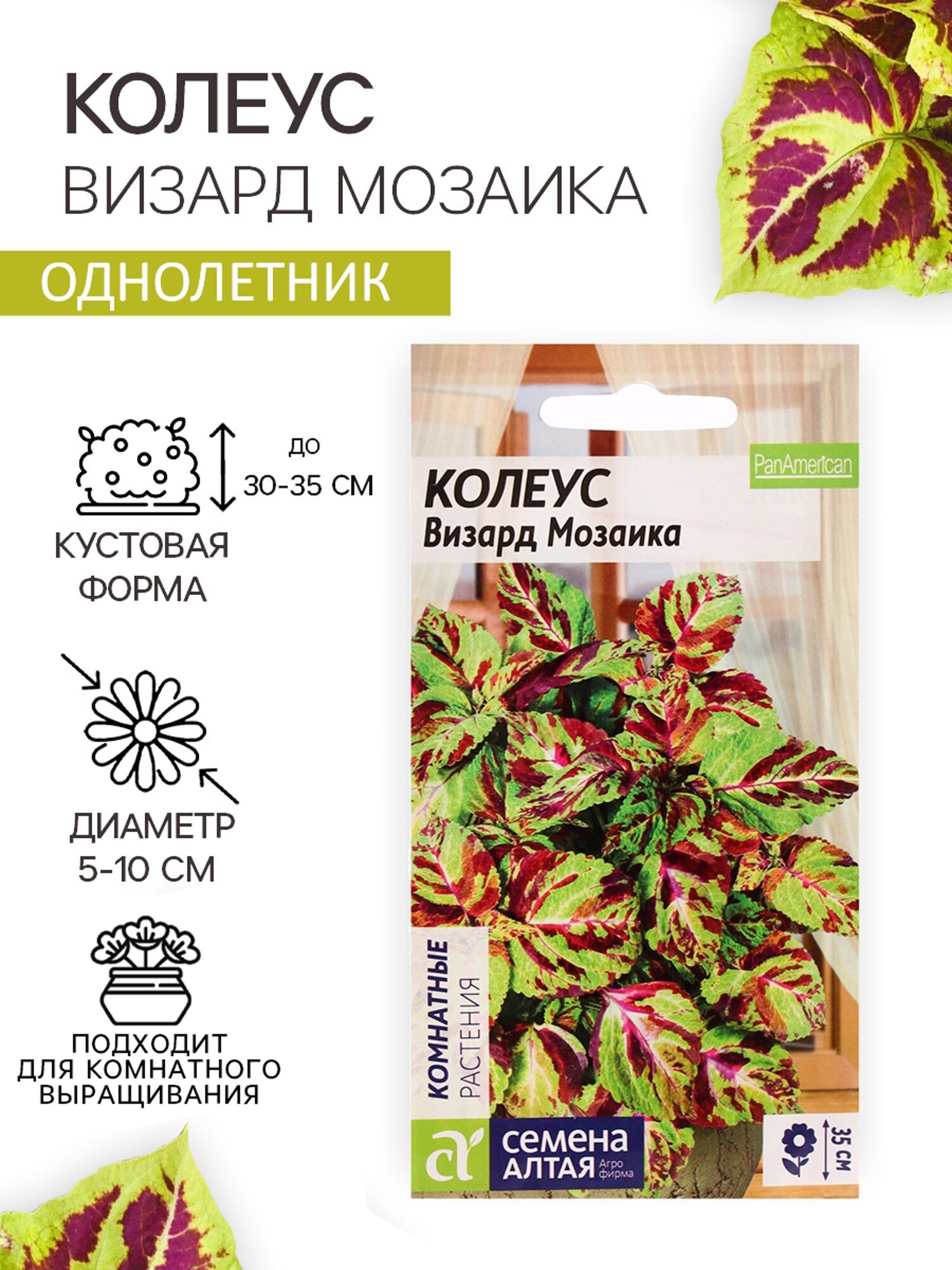 Семена цветов Колеус «Визард», мозаика, «Семена Алтая», цветной пакет, 5 шт.