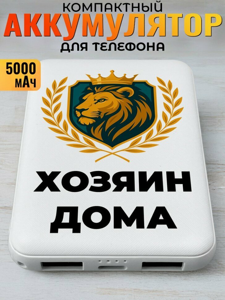 Повербанк "Хозяин дома"