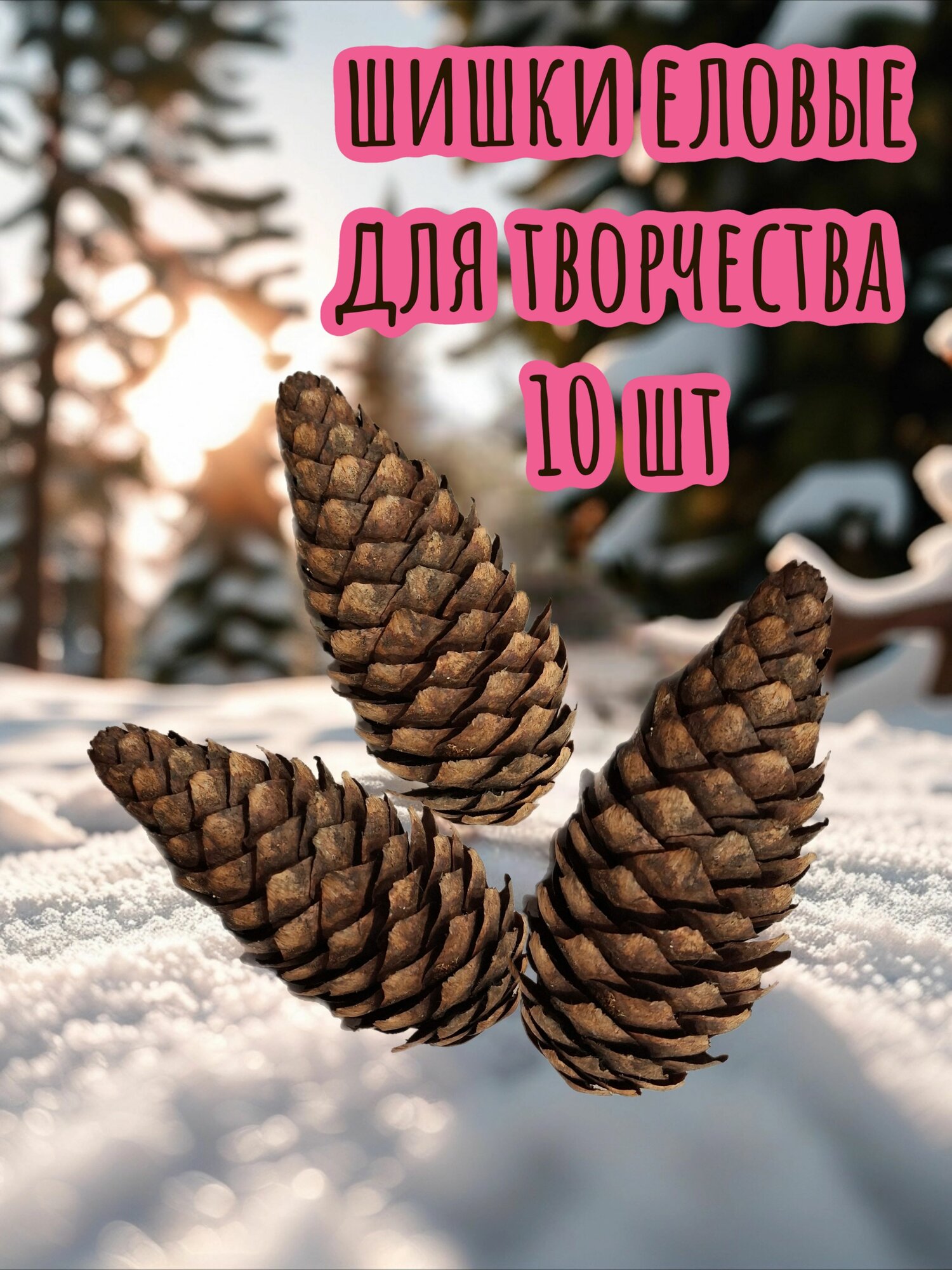 Шишки натуральные еловые