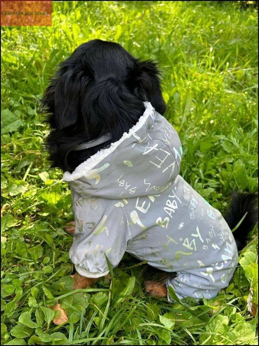 Одежда для животных — фото 1