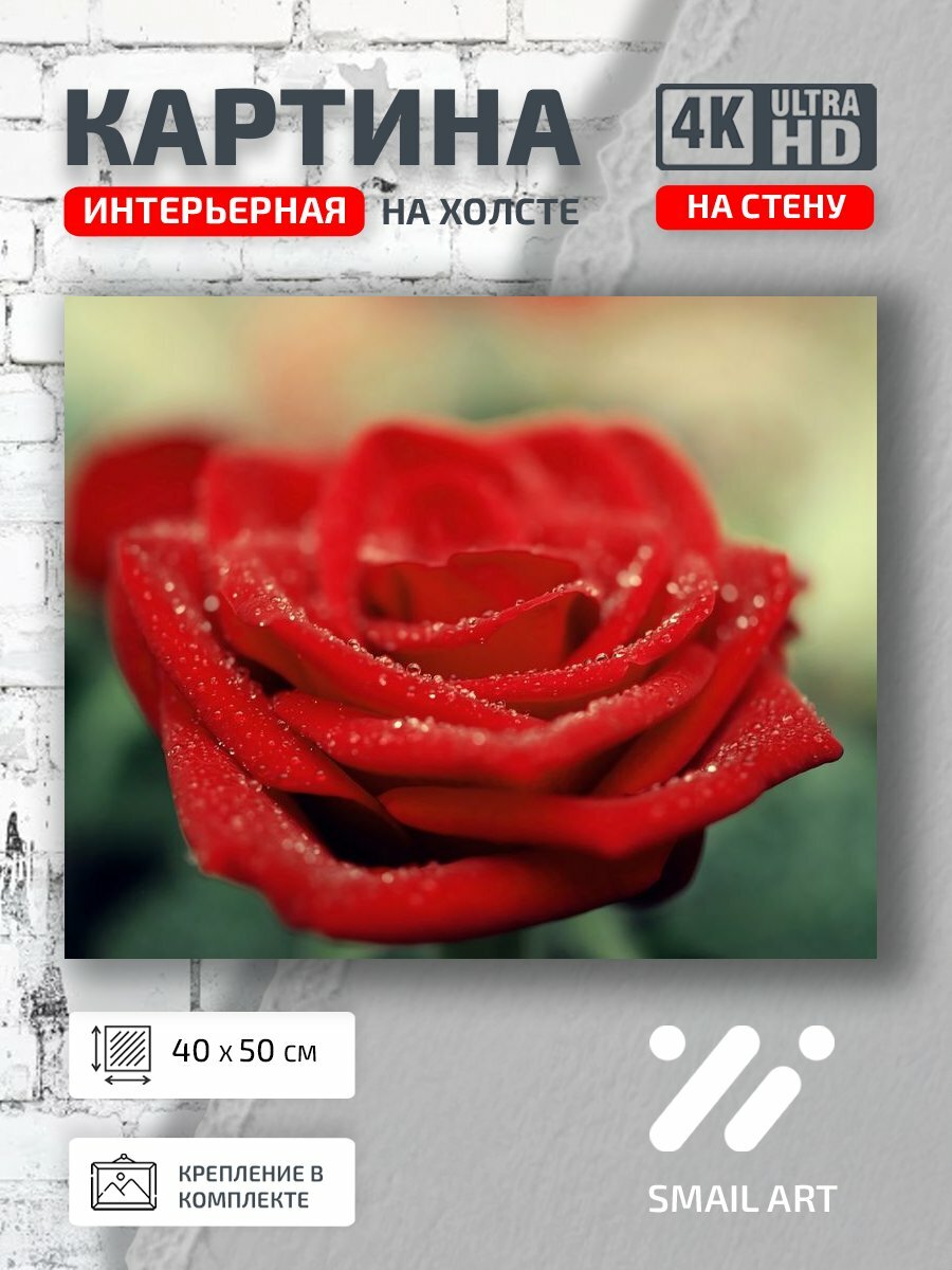 Картина на холсте интерьерная 40 на 50 на стену Капли Landscape для спальни пейзаж интерьер