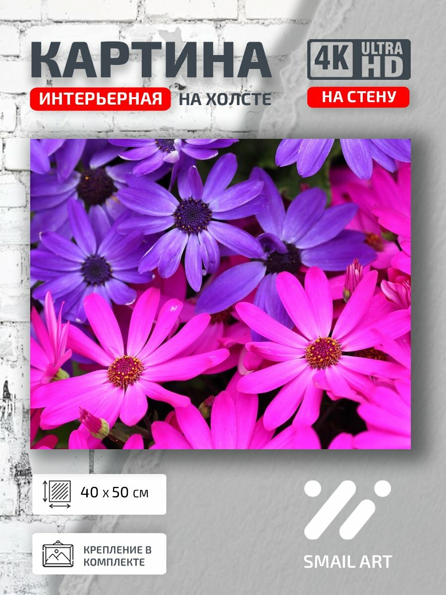 Картина на холсте интерьерная 40 на 50 на стену Фиолетовые Mood для студии атмосфера декор