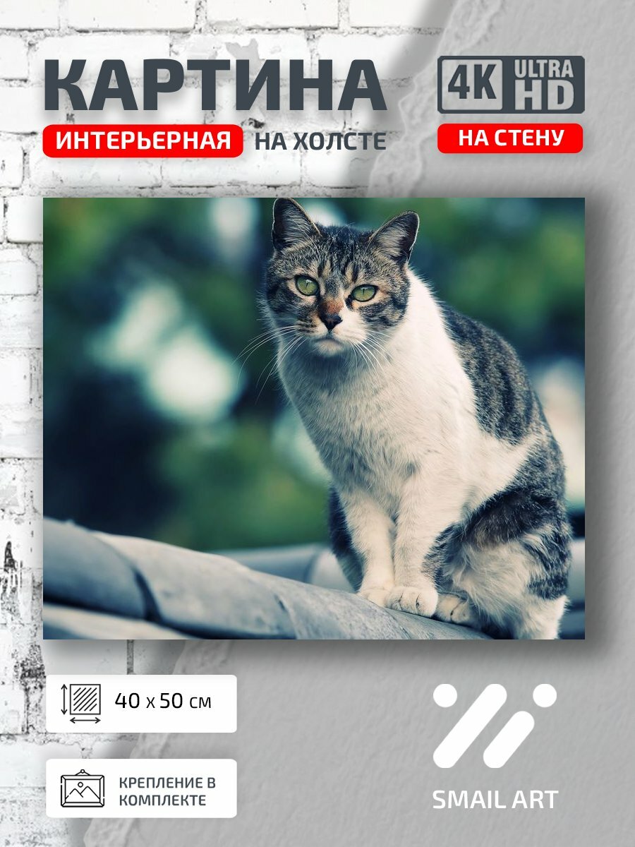 Картина на холсте интерьерная 40 на 50 на стену Заборе Animal для спальни animal style