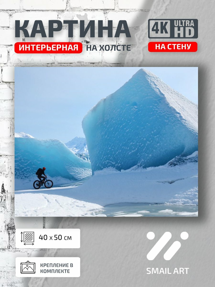 Картина на холсте интерьерная 40 на 50 на стену Снег Landscape для гостиной пейзаж интерьер