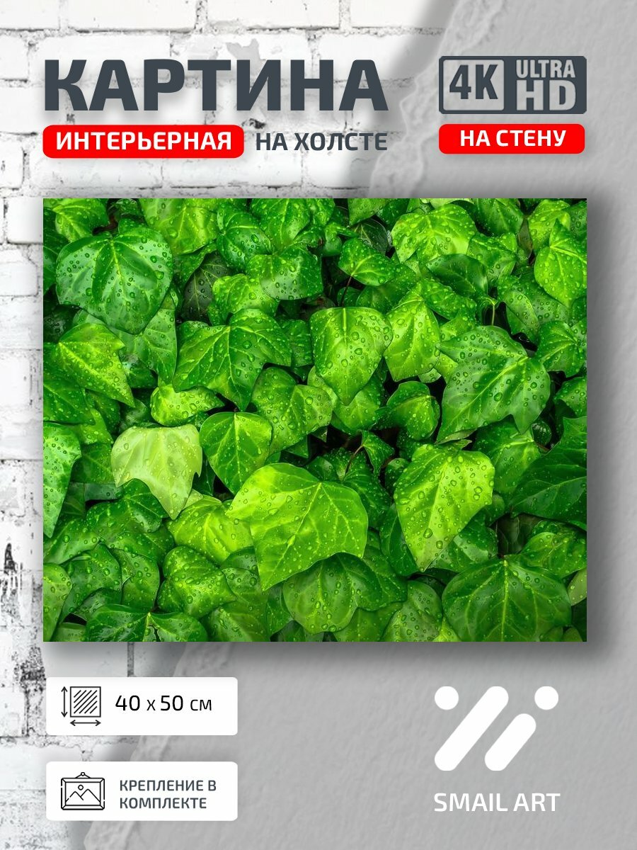 Картина на холсте интерьерная 40 на 50 на стену Минимализм Landscape для кафе пейзаж декор