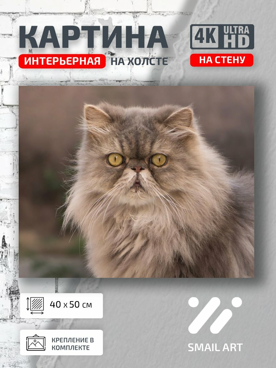 Картина на холсте интерьерная 40 на 50 на стену Взгляд Animal для спальни animal style