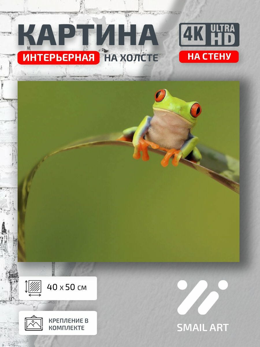 Картина на холсте интерьерная 40 на 50 на стену Фон Mood для студии атмосфера интерьер