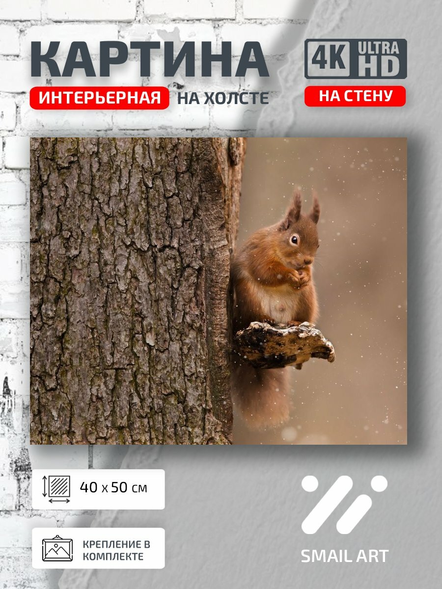 Картина на холсте интерьерная 40 на 50 на стену Кора Landscape для кабинета пейзаж интерьер