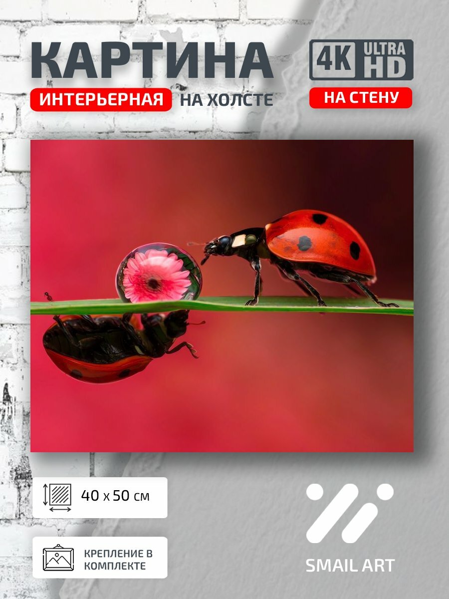 Картина на холсте интерьерная 40 на 50 на стену Минимализм Abstract для салона красоты