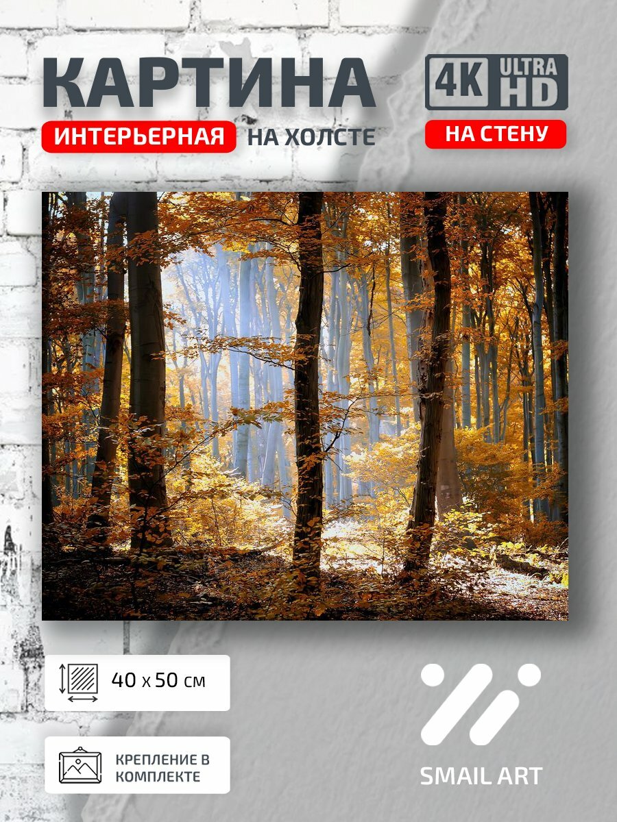 Картина на холсте интерьерная 40 на 50 на стену Свет Landscape для кабинета пейзаж интерьер