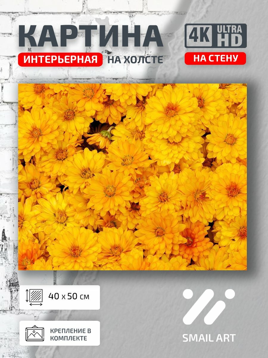 Картина на холсте интерьерная 40 на 50 на стену Хризантемы Landscape для кафе пейзаж декор