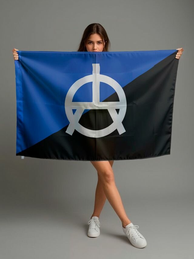 Флаг анархо трансгуманистов, 70х105 см на сетке для флагштока