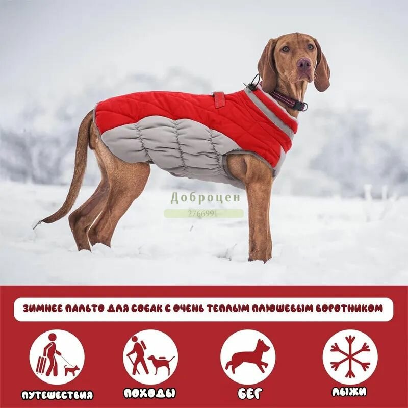 Домашняя собака, кошка, зимняя непромокаемая одежда, цельная куртка, красный XL