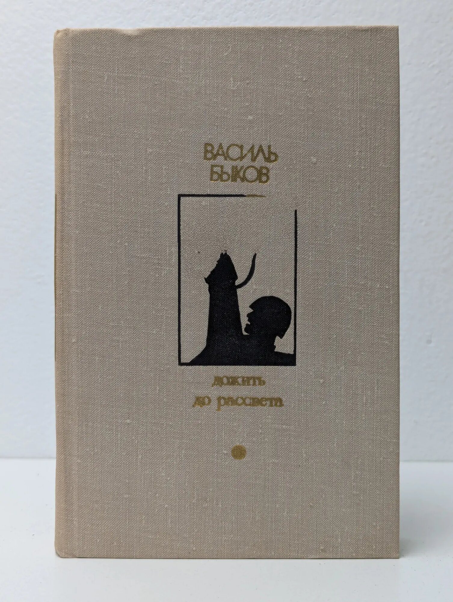 Дожить до рассвета Быков Василий Владимирович 1979