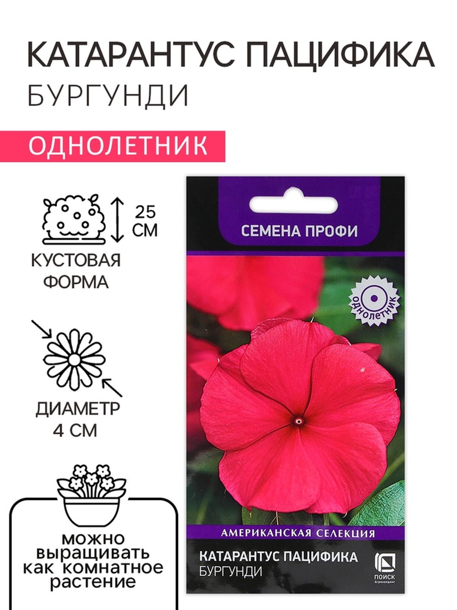 Семена цветов поиск Катарантус Пацифика "Бургунди", в упаковке 10 штук