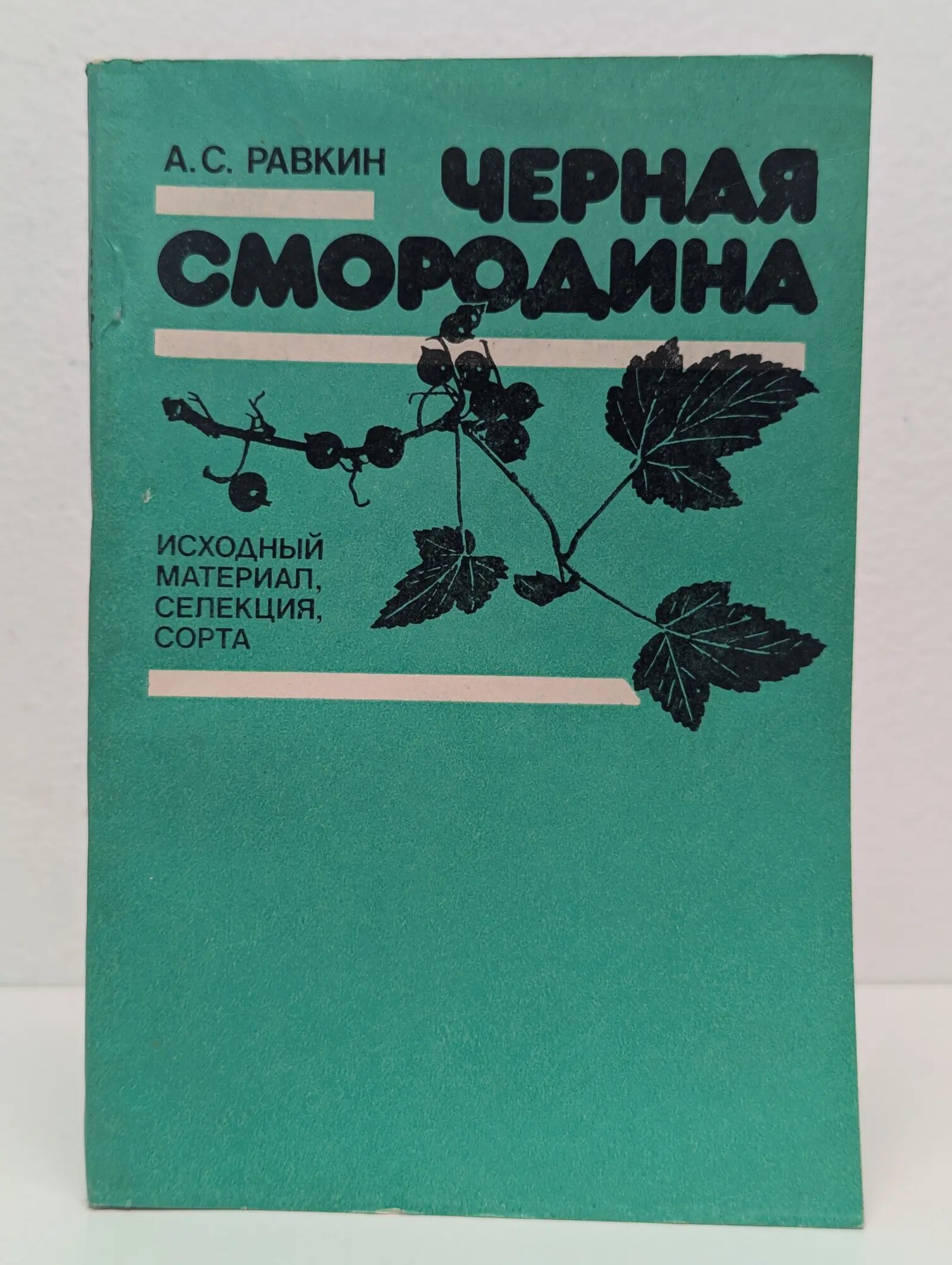 Черная смородина. Исходный материал, селекция, сорта Равкин А. С. 1987