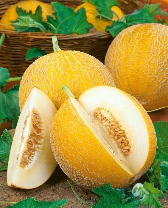 Коллекционные семена дыни Сказка