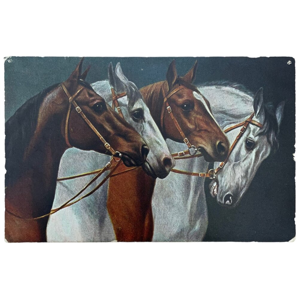 Почтовая открытка "Четыре лошади" 1900-1917 гг. Германия